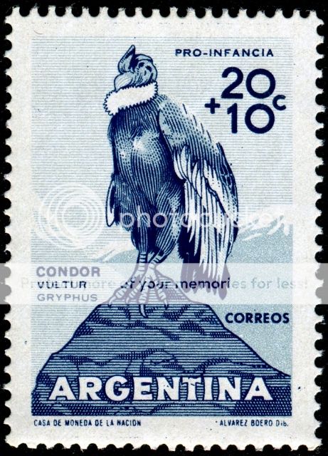 Birds Perched, Birds Flying, Birds Aground - Page 25 - Stamp Community ...