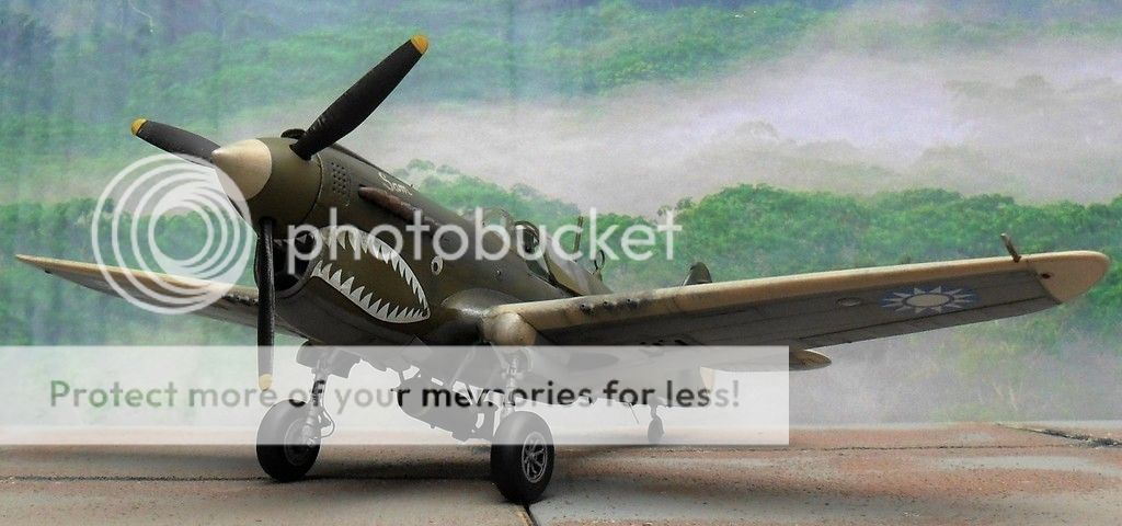 Curtiss P-40N Warhawk, CACW, Chihkiang, 1944 - Ready for Inspection ...