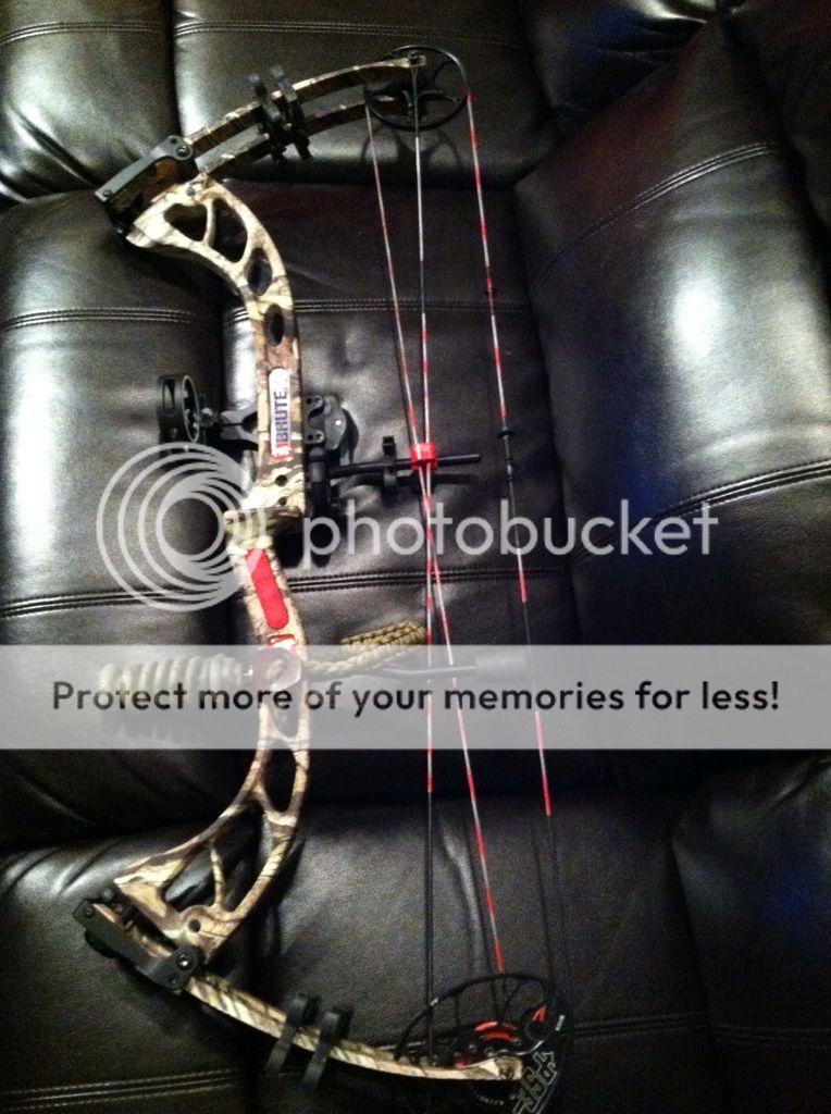 Let's see your PSE Hunting bows! | Page 6 | Archery Talk Forum