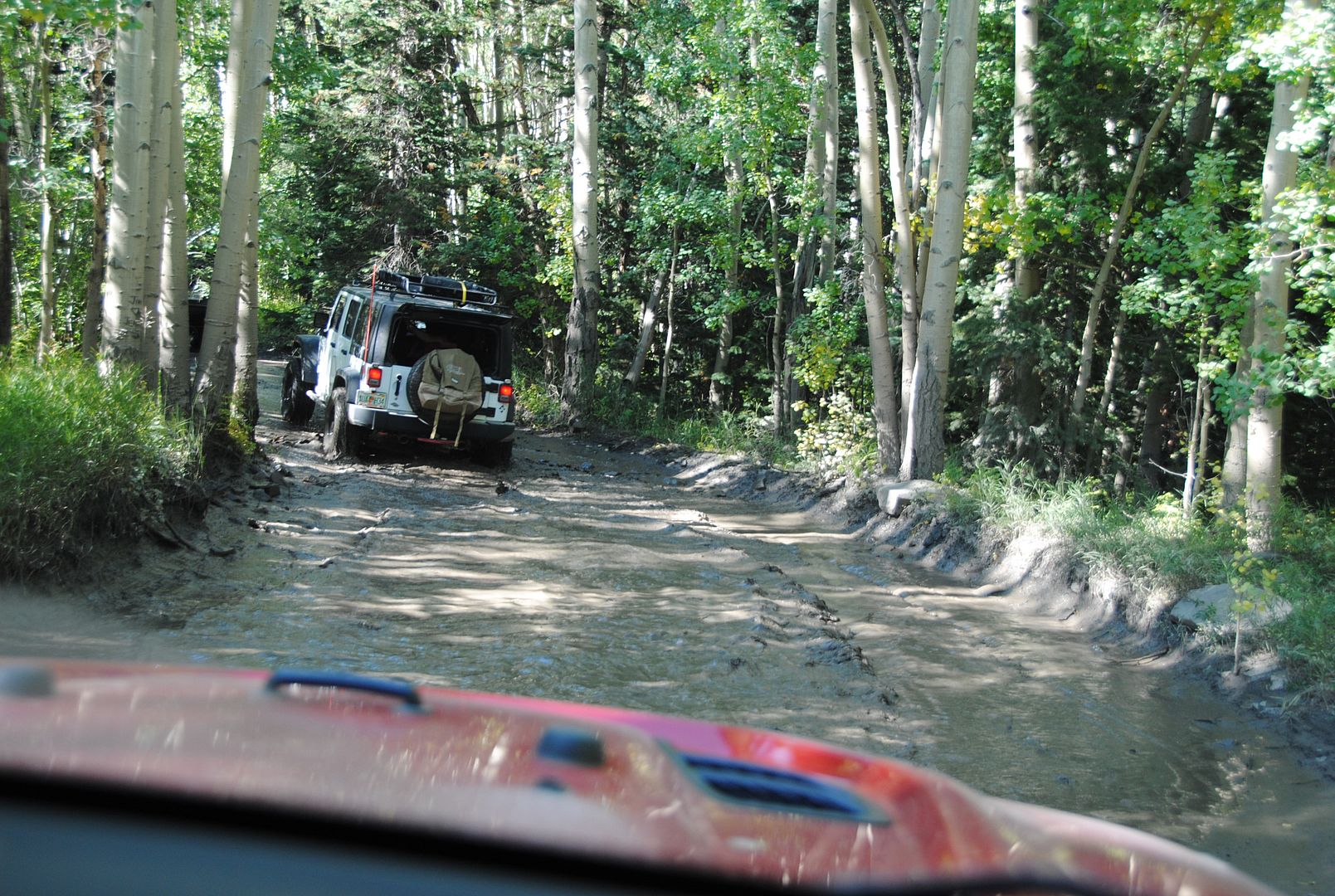 Basic principles of picking Line Off-Road | Jeep Wrangler Forum